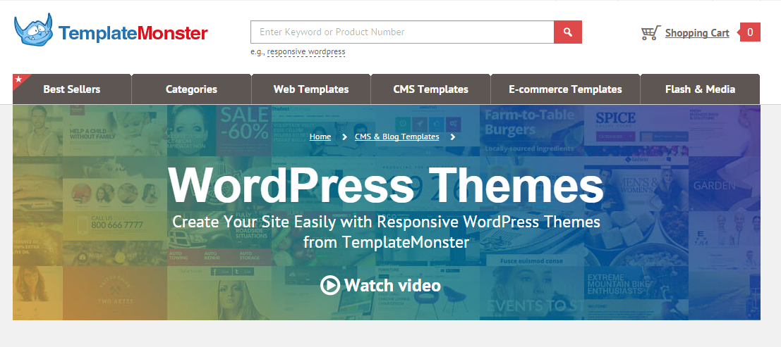 How To Become A Good WordPress Developer From Scratch | FireBear