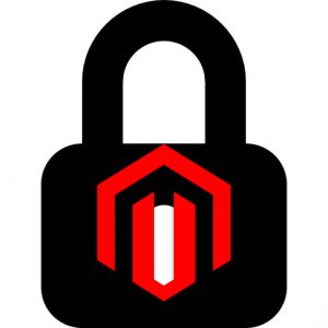Magento 2 Admin Security Extensions | FireBear