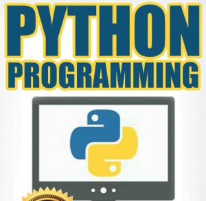 How To Code Like Real Pythonista (Best Python Books) | FireBear