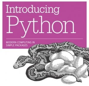 How To Code Like Real Pythonista (Best Python Books) | FireBear