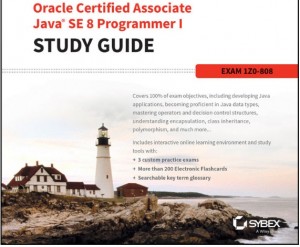 10 Best Books To Master Java | FireBear