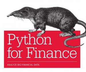 How To Code Like Real Pythonista (Best Python Books) | FireBear
