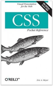 10 Ways To Master CSS (Best Books) | FireBear