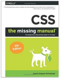 10 Ways To Master CSS (Best Books) | FireBear