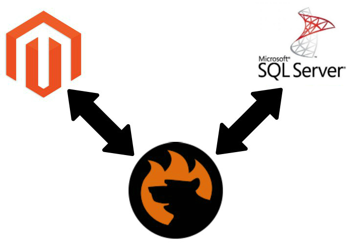 How To Import Data From Microsoft SQL Server To Magento 2 FireBear
