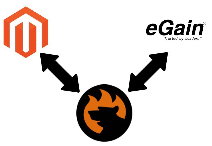 eGain Overview & Magento 2 Integration | FireBear