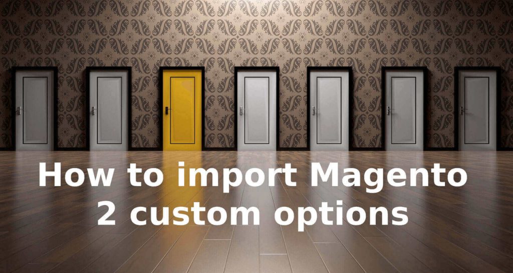 Magento 2 Custom Options Firebear
