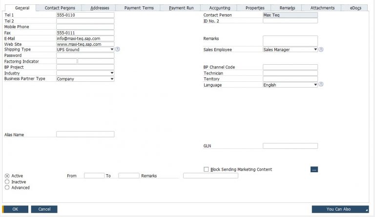 SAP Business One In-Depth Review: Business Partner Master Data | FireBear