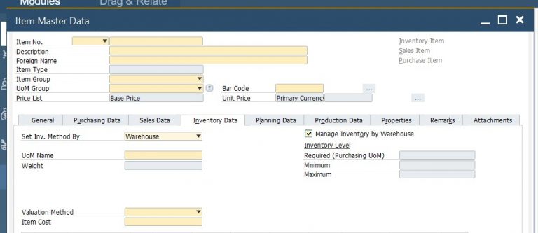 SAP Business One In-Depth Review: Master Data Essentials | FireBear