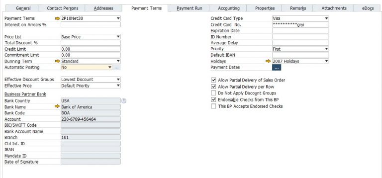 SAP Business One In-Depth Review: Business Partner Master Data | FireBear