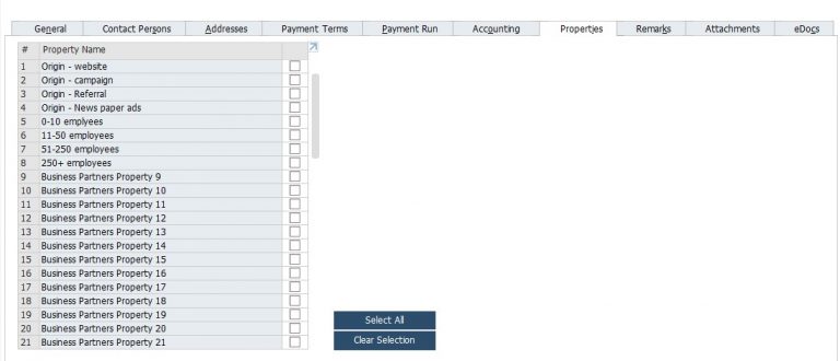 SAP Business One In-Depth Review: Business Partner Master Data | FireBear