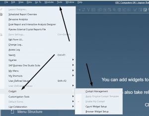 SAP Business One In-Depth Review: Navigation Through The SAP B1 ...