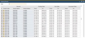 SAP Business One In-Depth Review: Financial Accounting | FireBear