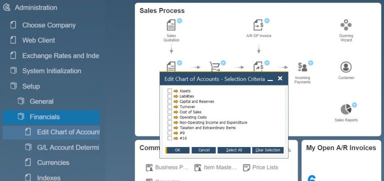 SAP Business One In-Depth Review: Financial Accounting | FireBear