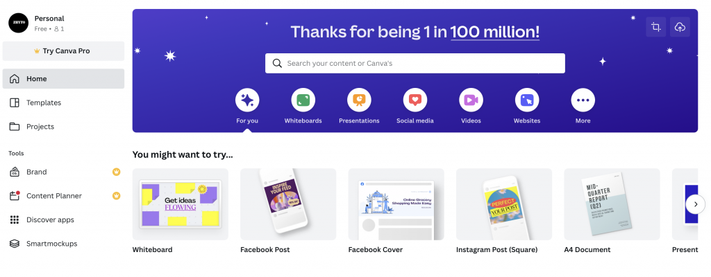 What is Canva? 2025 Guide | FireBear