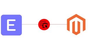ERPNext Integration | FireBear