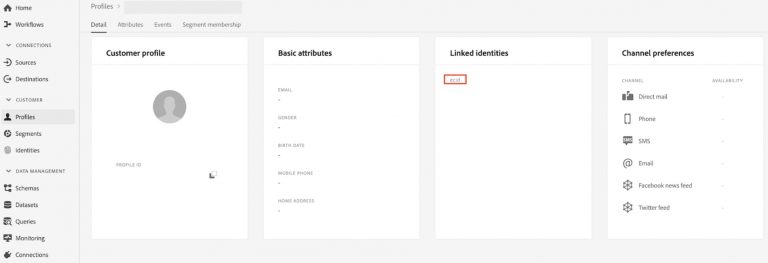 Adobe Real-Time CDP Explained | FireBear