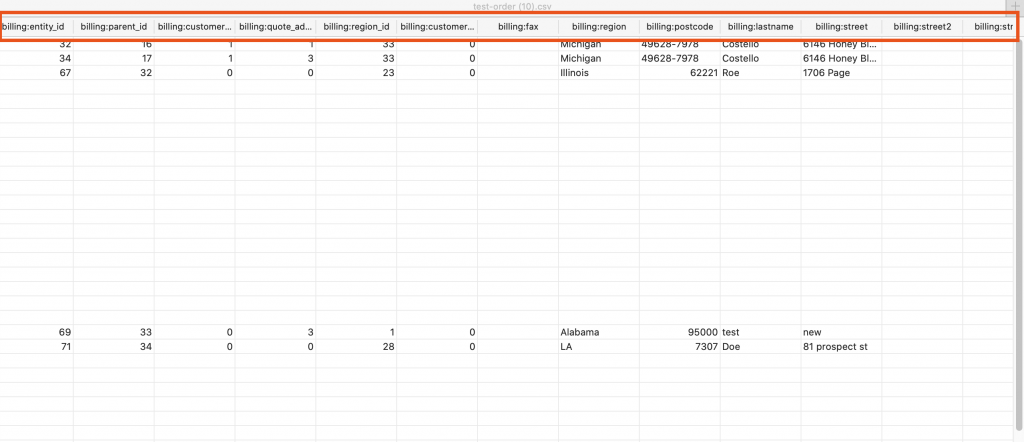 Export Order Addresses in One Line in Magento 2 | FireBear