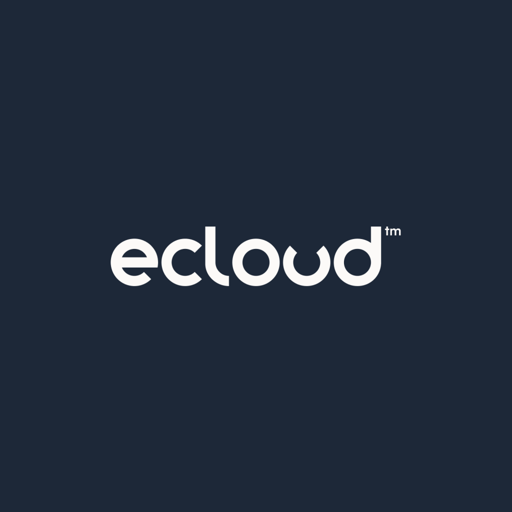 eCloud Agency: Your Development and Marketing Assistant | FireBear