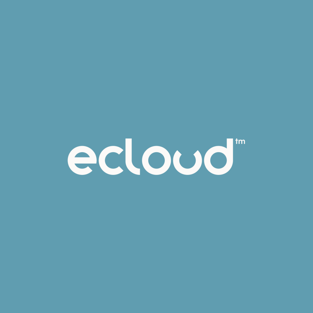eCloud Agency: Your Development and Marketing Assistant | FireBear