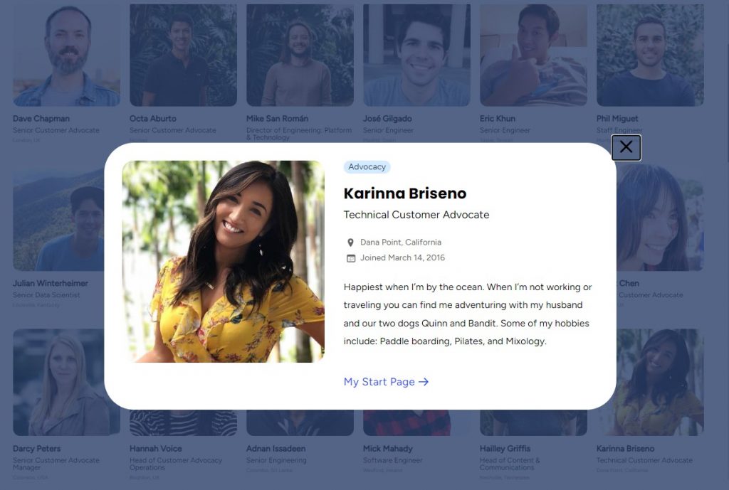 Create Meet the Team Page: Tips & Examples | FireBear