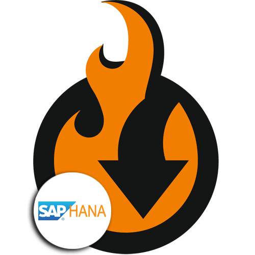 SAP HANA Integration Add-on for Magento 2 | Magento extensions 2 | Firebear Studio